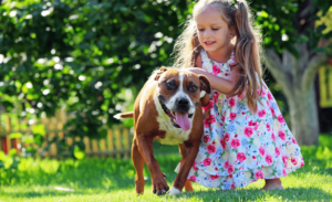 13 Best Dog Breeds for Autism Children & Families | AngelSense