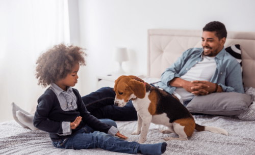 13 Best Dog Breeds for Autism Children & Families | AngelSense